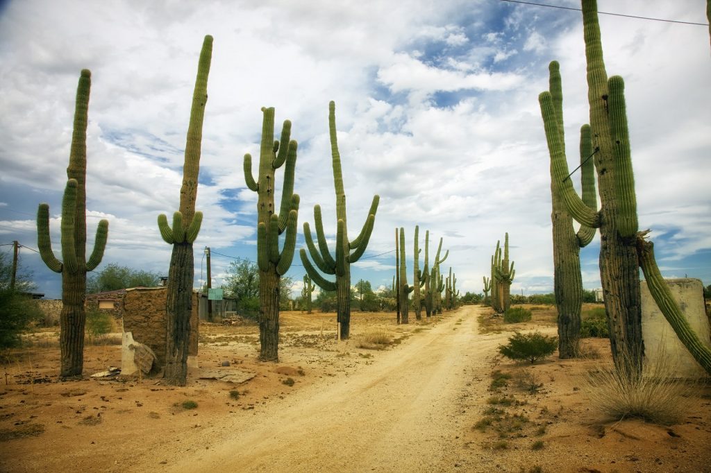 Average Electric Bill In Phoenix During The Summer Plus How To Save 